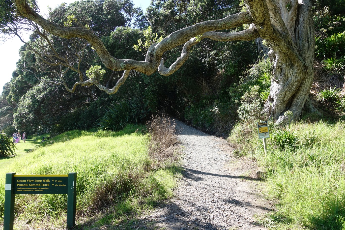 Pauanui Summit Track | motowalknz