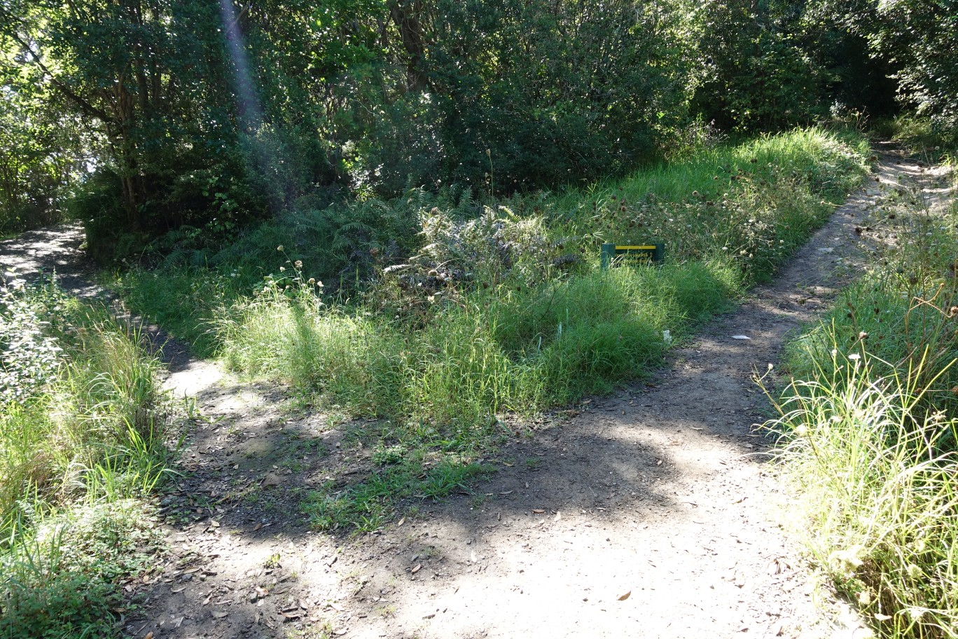 Pauanui Summit Track | motowalknz