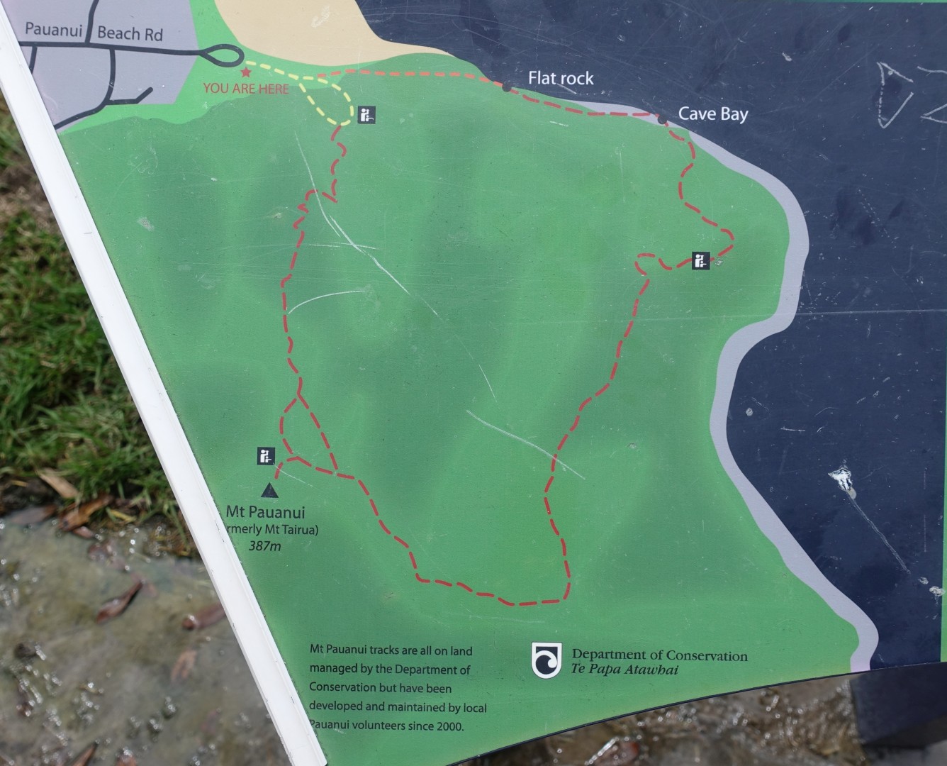Pauanui Summit Track | motowalknz