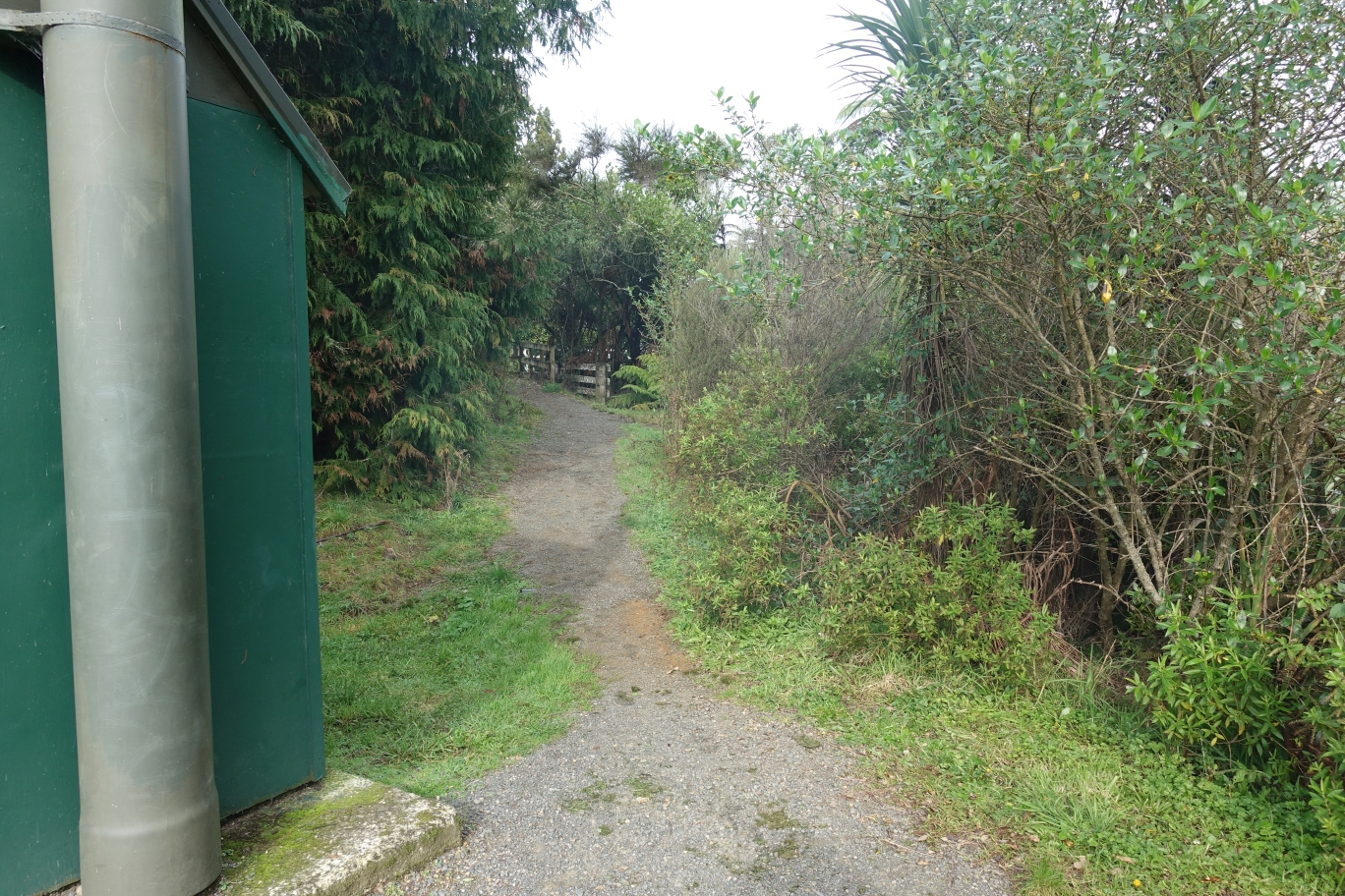Kaniwhaniwha Nikau Loop Walk and Caves | motowalknz