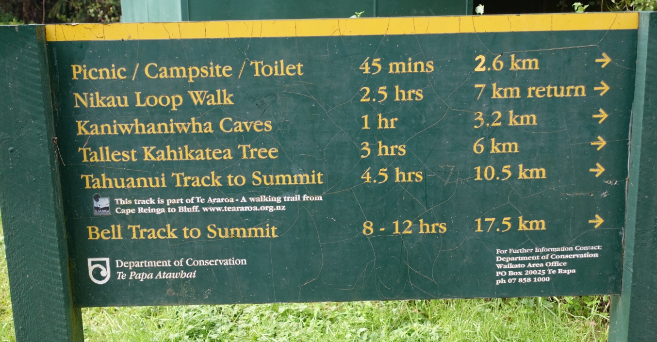 Kaniwhaniwha Nikau Loop Walk and Caves | motowalknz