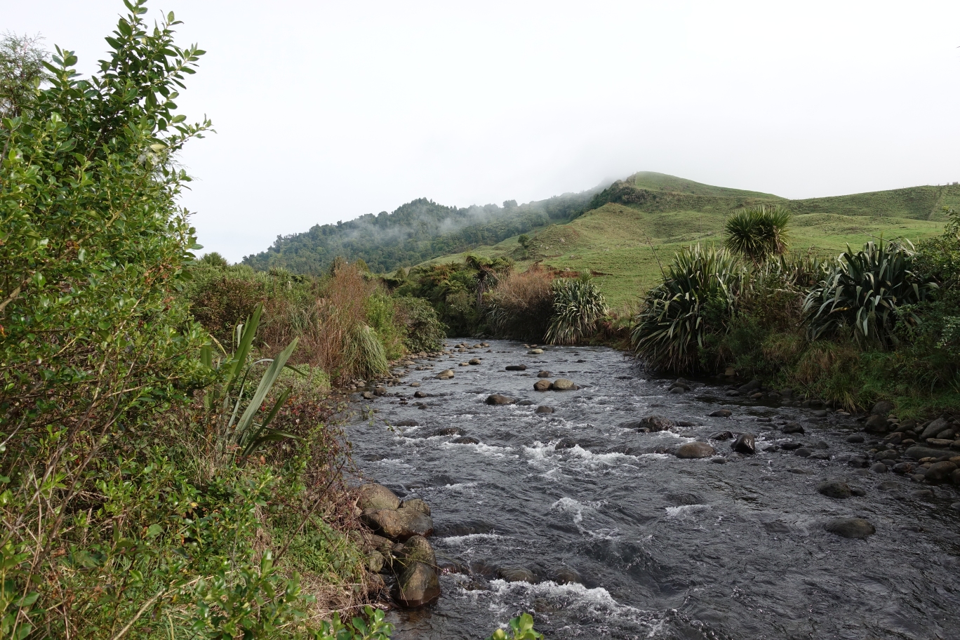 Pirongia Forest Park | motowalknz