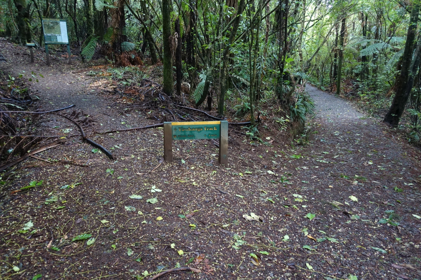 Tirohanga Track to Ruapane Trig, Pirongia | motowalknz