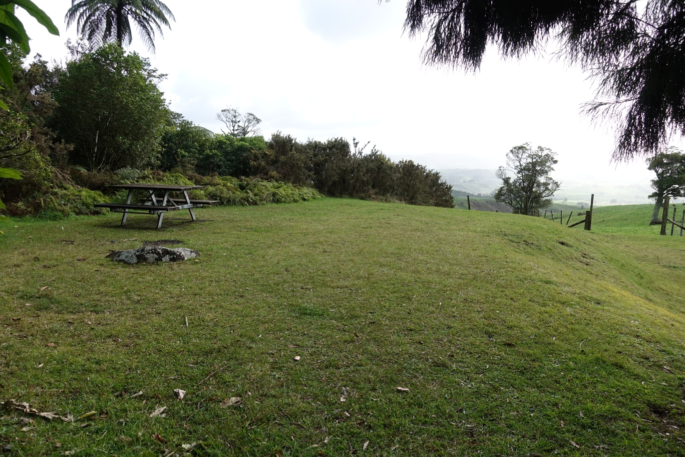 Tirohanga Track to Ruapane Trig, Pirongia | motowalknz