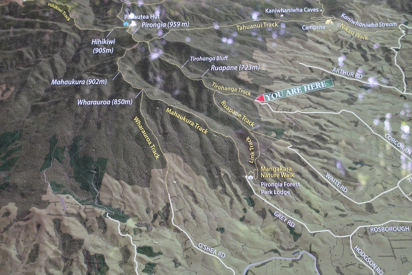 Tirohanga Track to Ruapane Trig, Pirongia | motowalknz