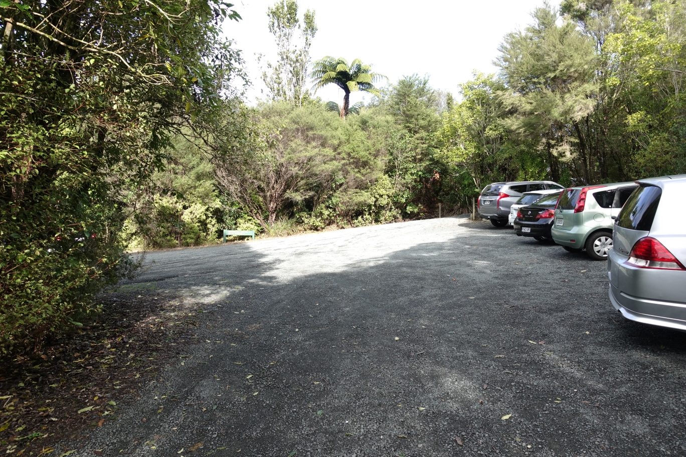 Mangakara Nature Walk, Pirongia | motowalknz