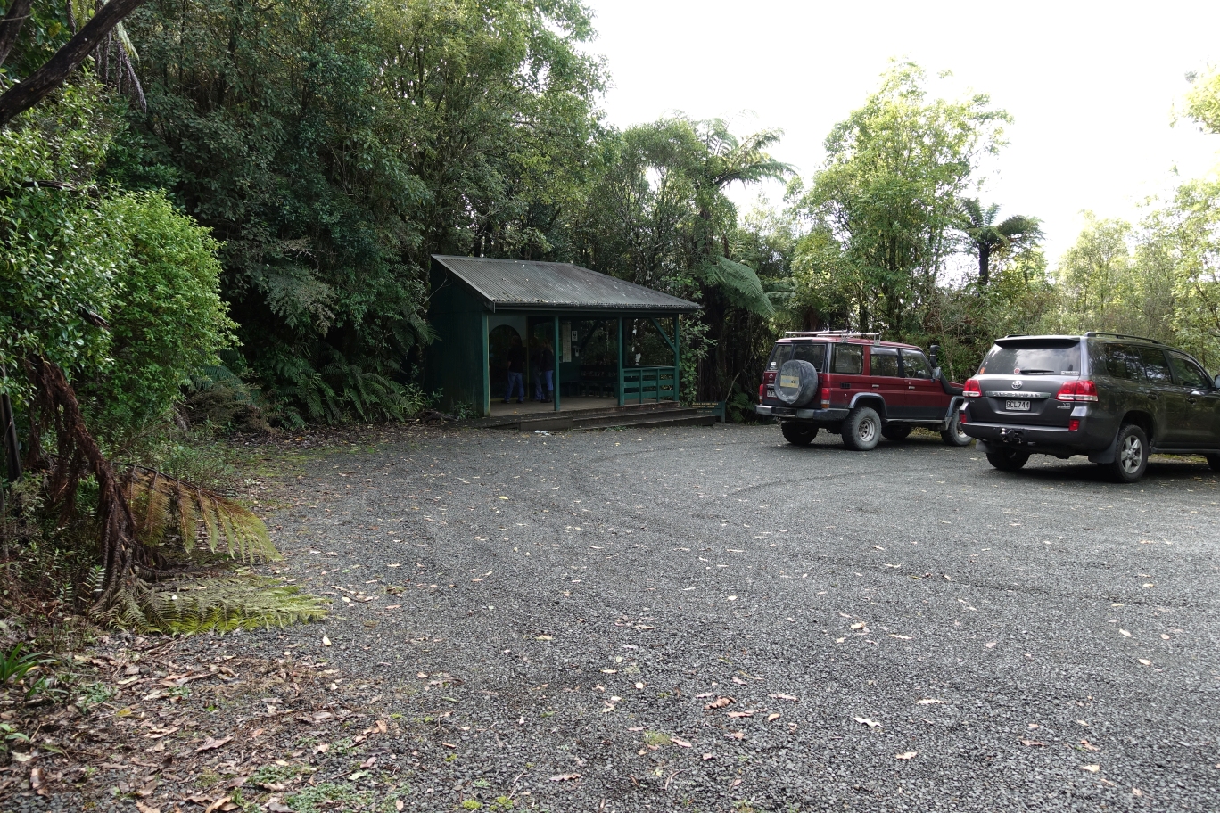Mangakara Nature Walk, Pirongia | motowalknz