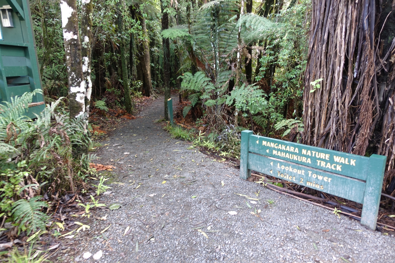 Mangakara Nature Walk, Pirongia | motowalknz