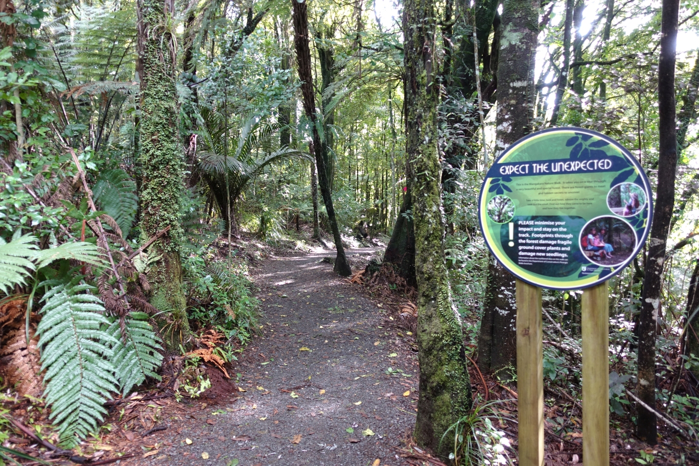 Mangakara Nature Walk, Pirongia | motowalknz