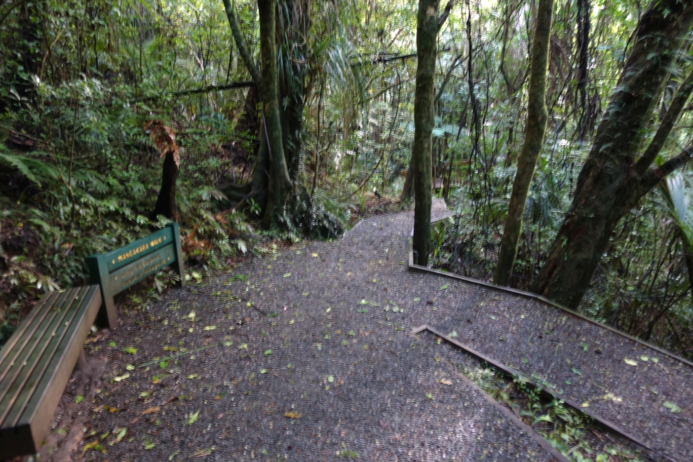 Mangakara Nature Walk, Pirongia | motowalknz