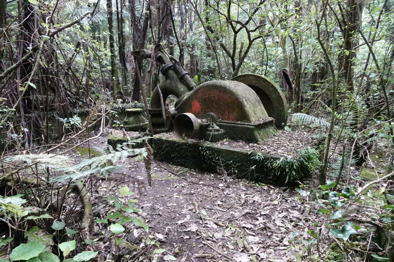 Karaponga Reserve, Waterfall and Dam | motowalknz