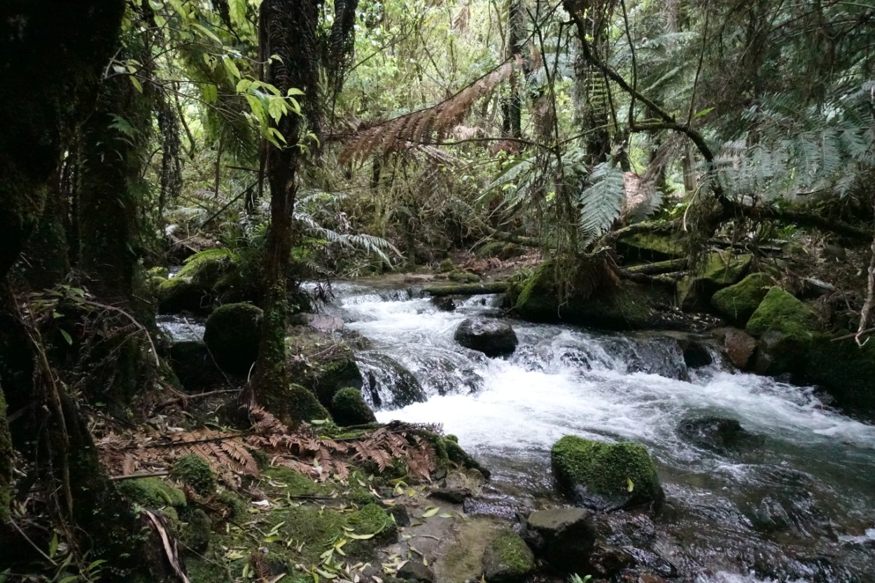 Karaponga Reserve, Waterfall and Dam | motowalknz