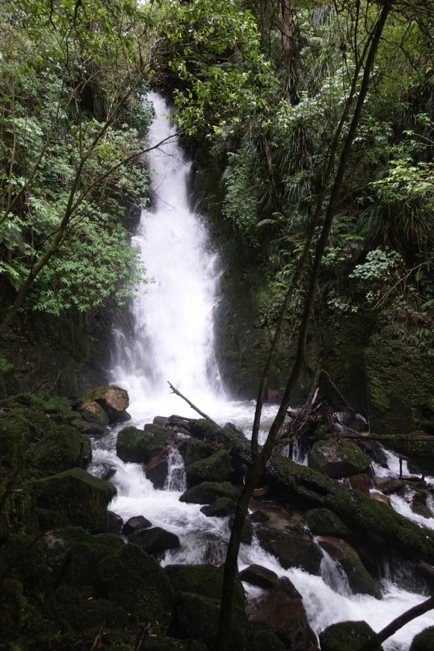 Karaponga Reserve, Waterfall and Dam | motowalknz