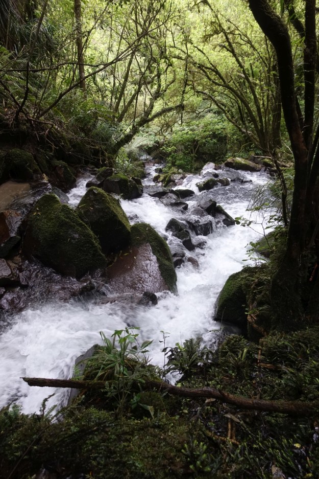 Karaponga Reserve, Waterfall and Dam | motowalknz