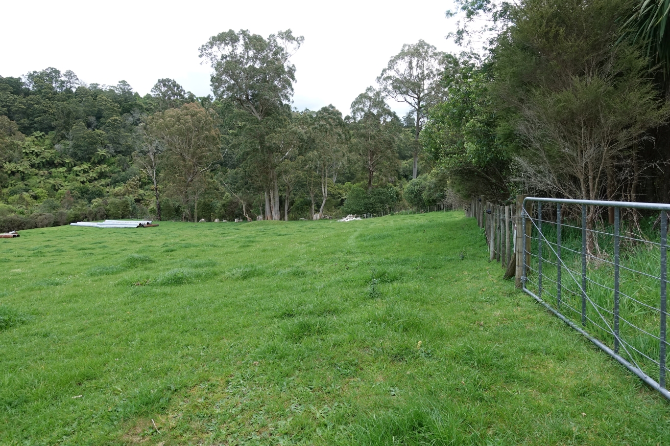 Karaponga Reserve, Waterfall and Dam | motowalknz