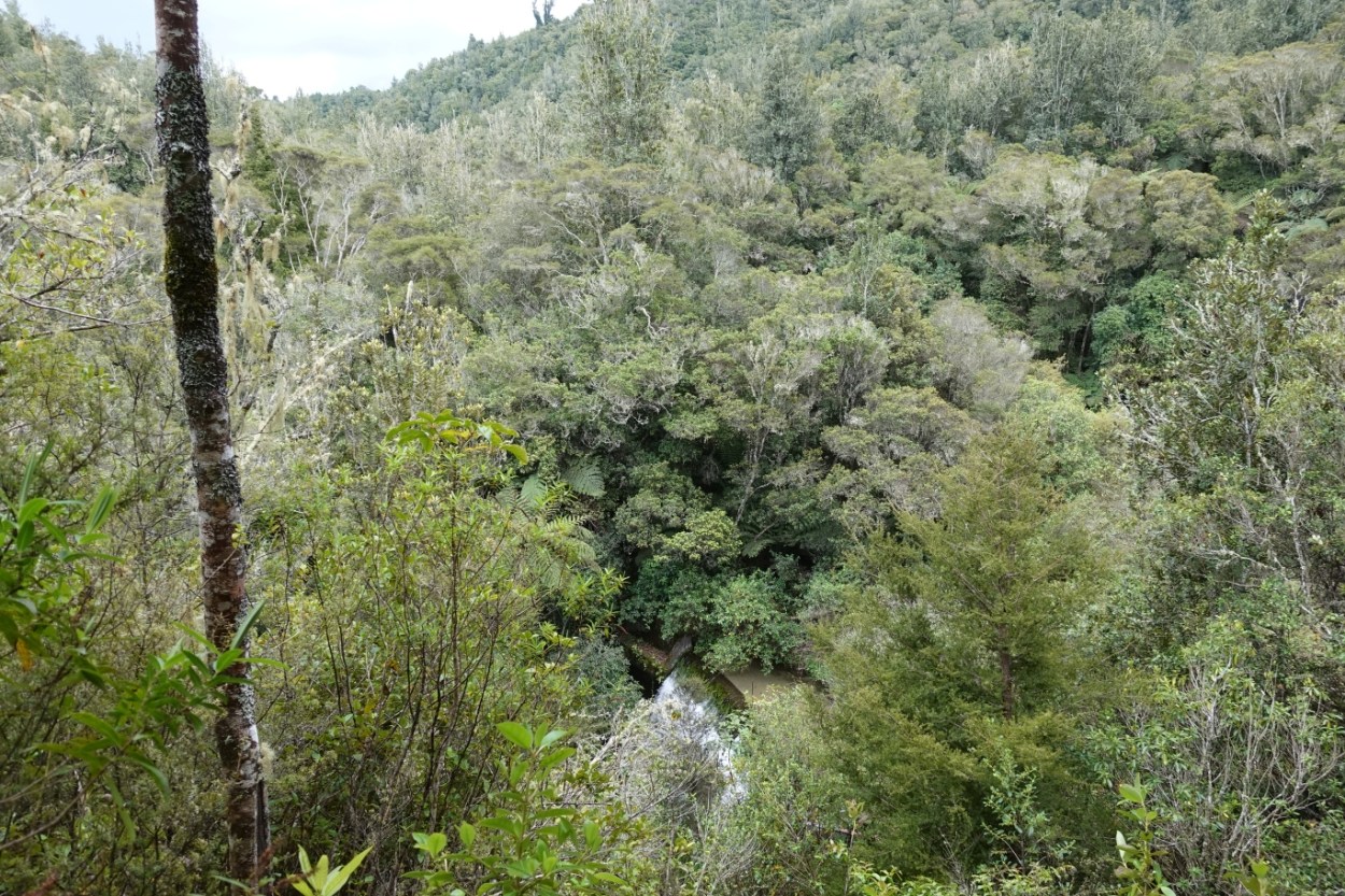 Karaponga Reserve, Waterfall and Dam | motowalknz
