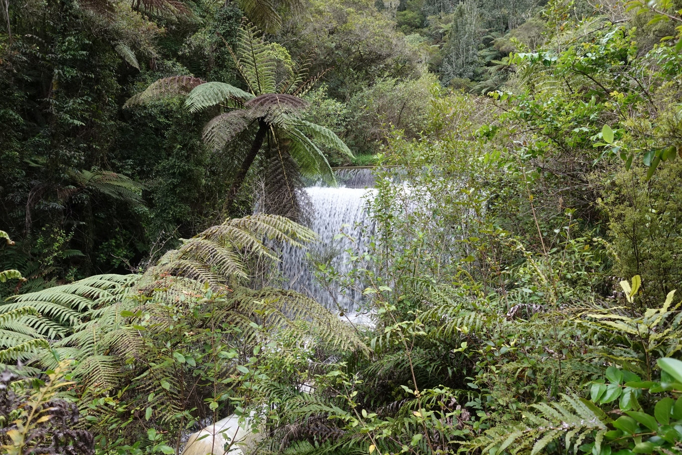 Karaponga Reserve, Waterfall and Dam | motowalknz