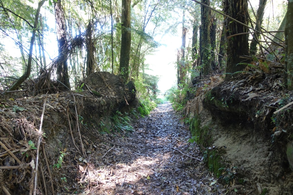 Rotoma Bridle Track | motowalknz