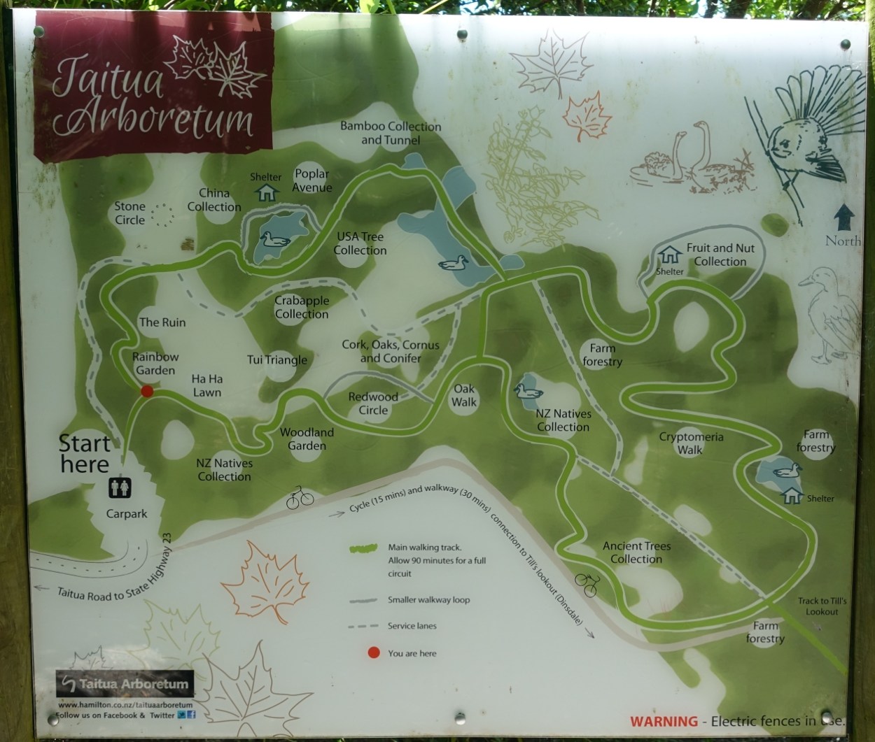 Taitua Arboretum and Till’s Lookout, Hamilton | motowalknz