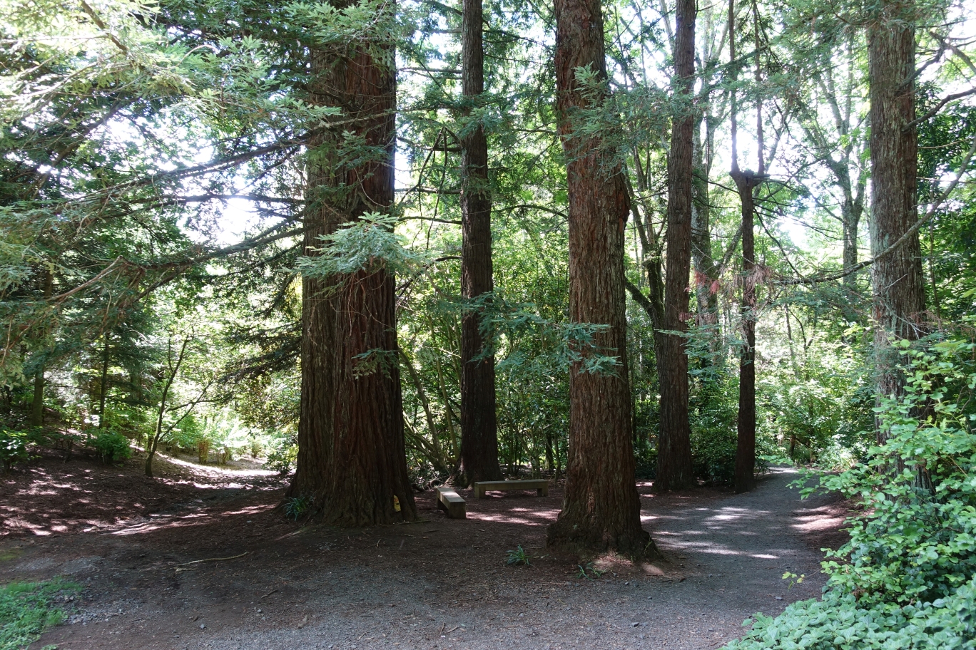 Taitua Arboretum and Till’s Lookout, Hamilton | motowalknz