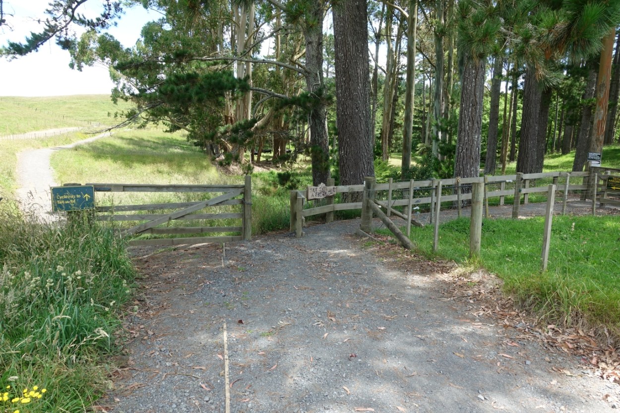 Taitua Arboretum and Till’s Lookout, Hamilton | motowalknz