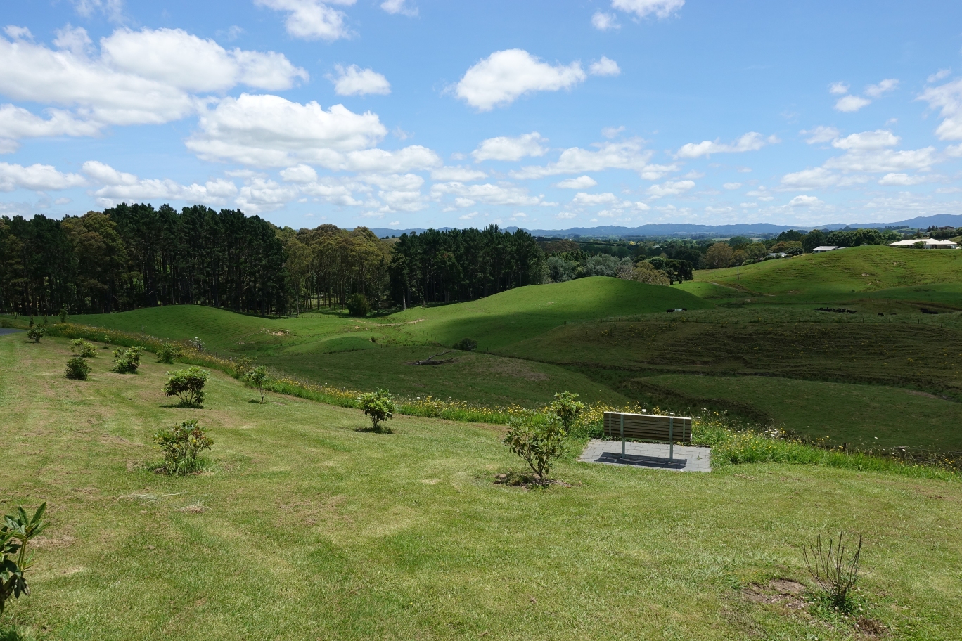Taitua Arboretum and Till’s Lookout, Hamilton | motowalknz
