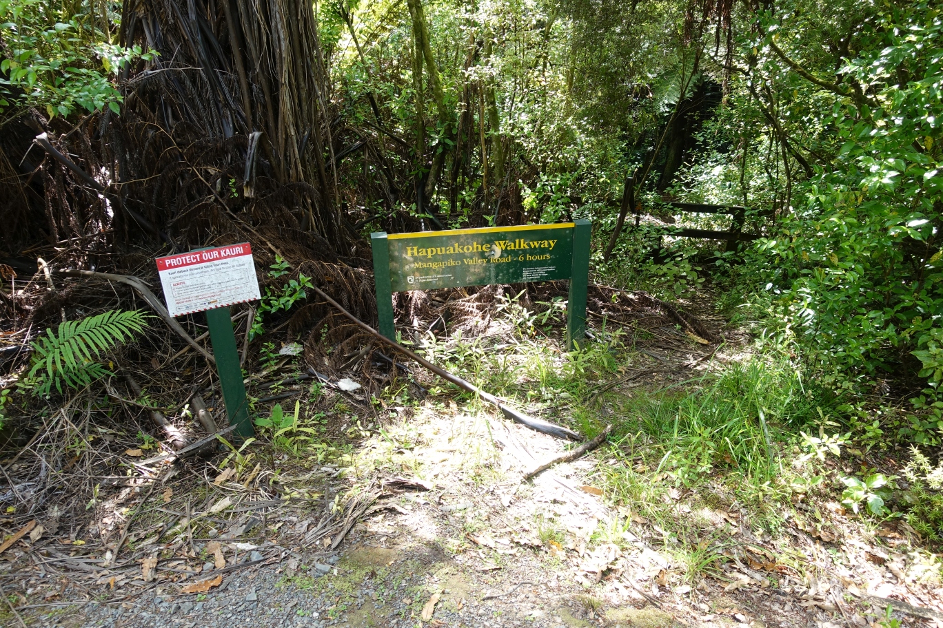 Hapuakohe Walkway – Ohinewai Rd to Maungakawa Trig | motowalknz