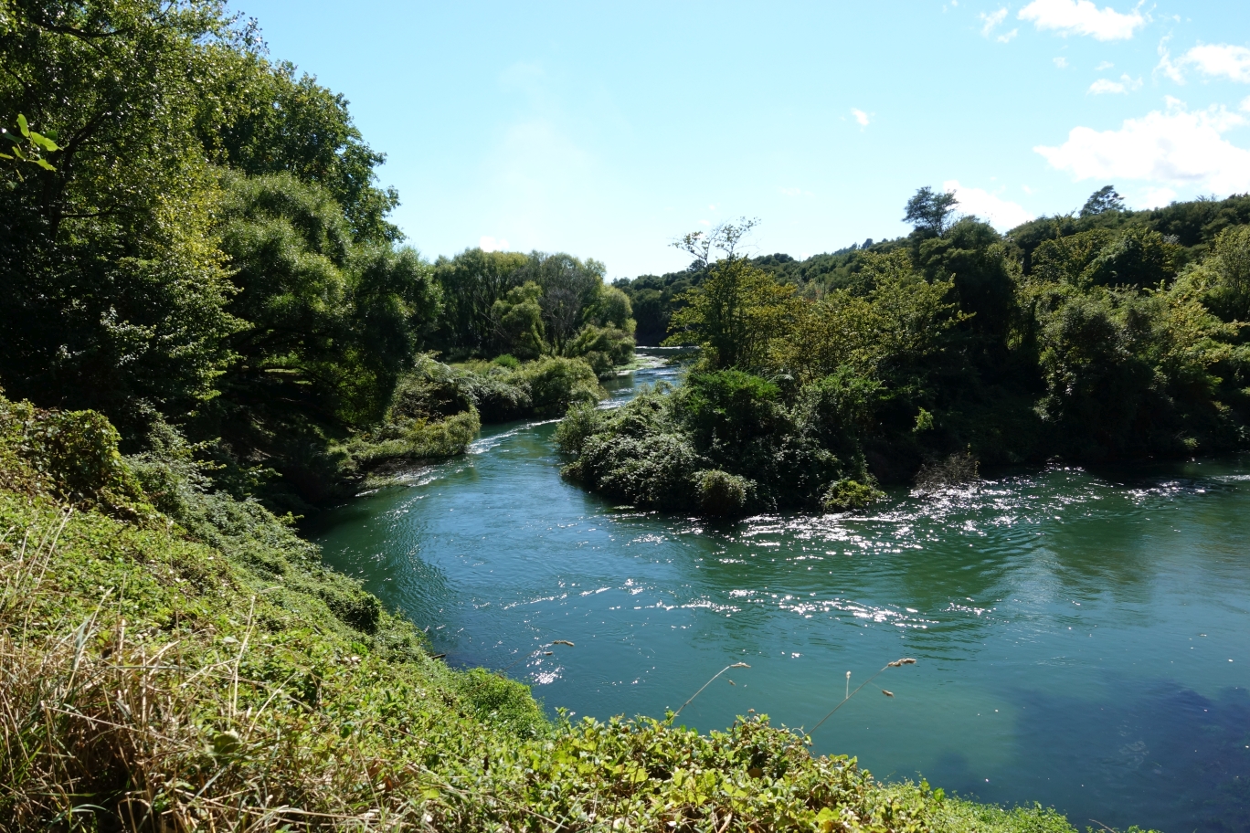 Tarawera River Walks, Kawerau | motowalknz