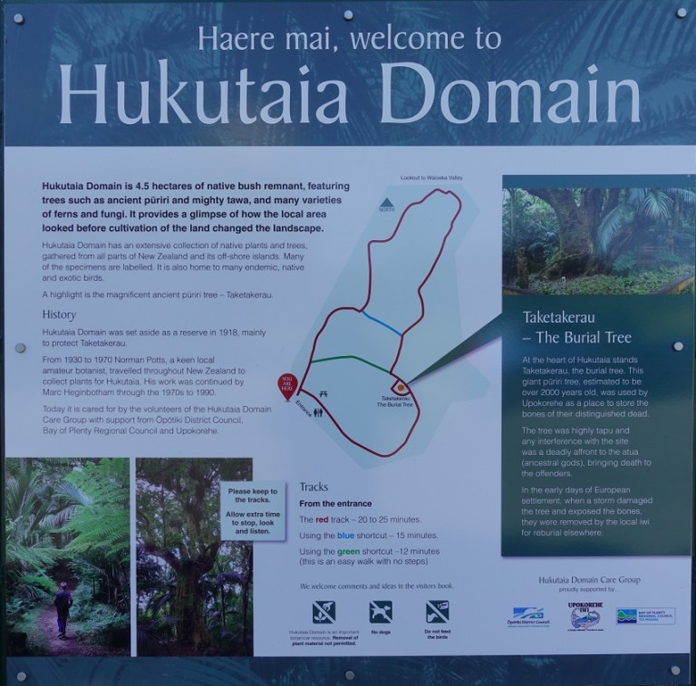Hukutaia Domain, Opotiki | motowalknz