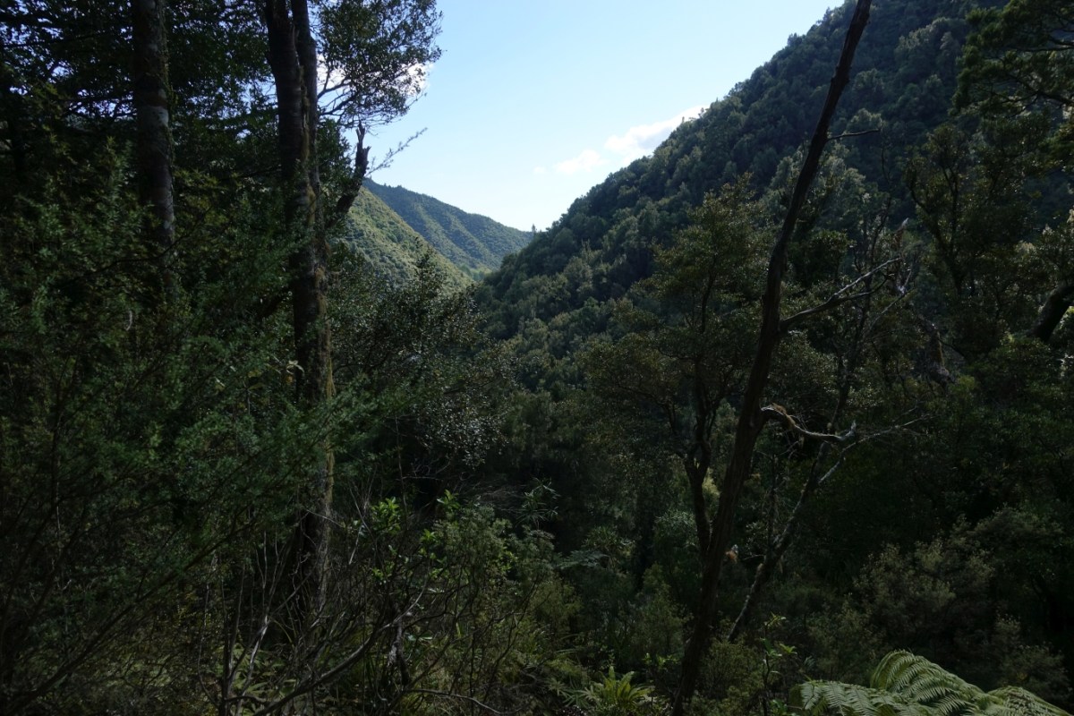 Te Waiti Nature Trail, Opotiki | motowalknz