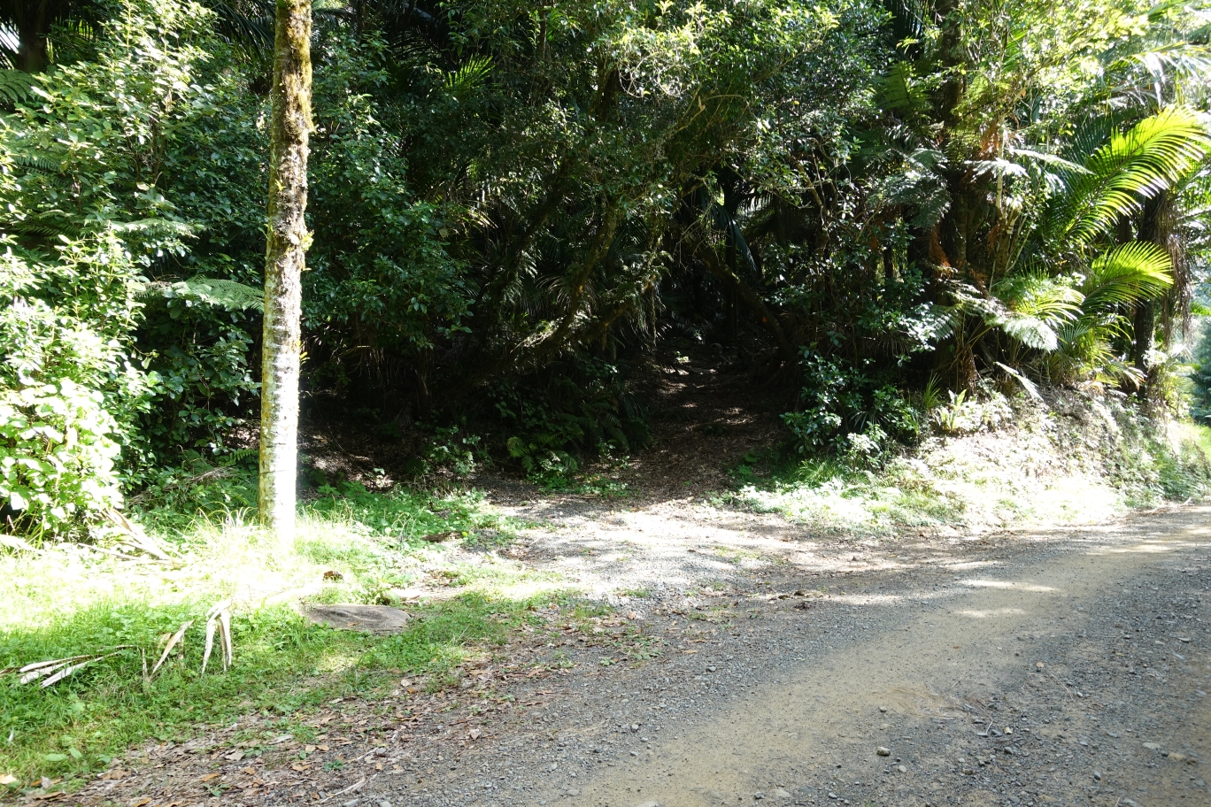 Te Waiti Nature Trail, Opotiki | motowalknz
