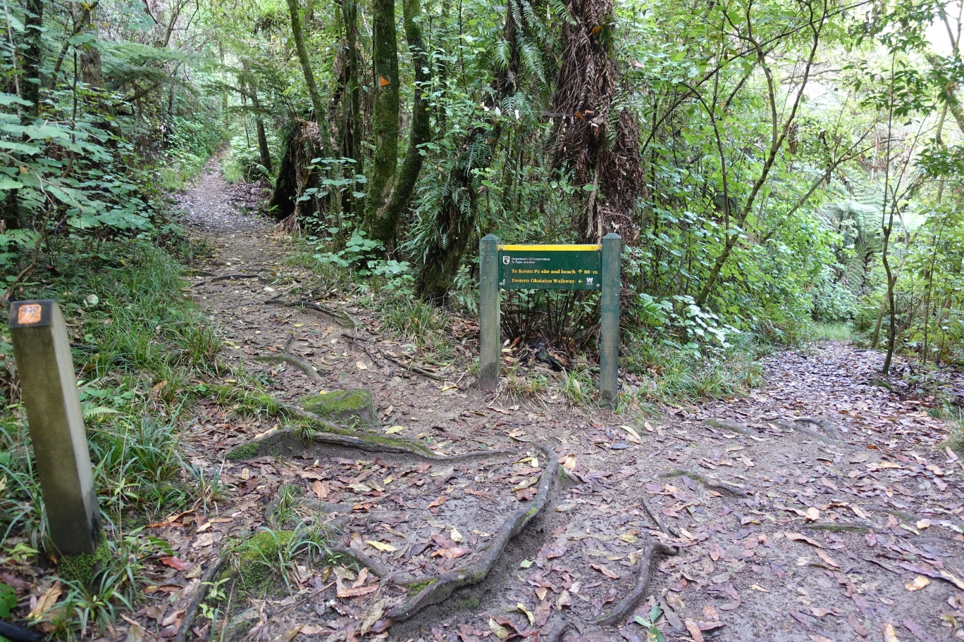 Eastern Okataina Walkway | motowalknz