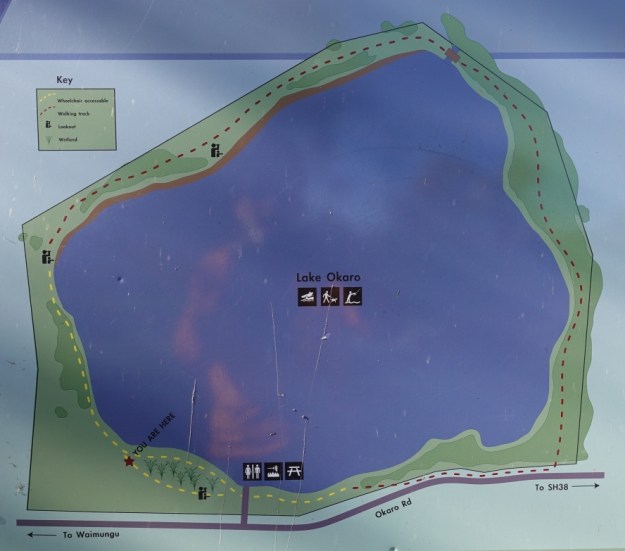 Lake Okaro Walkway | motowalknz