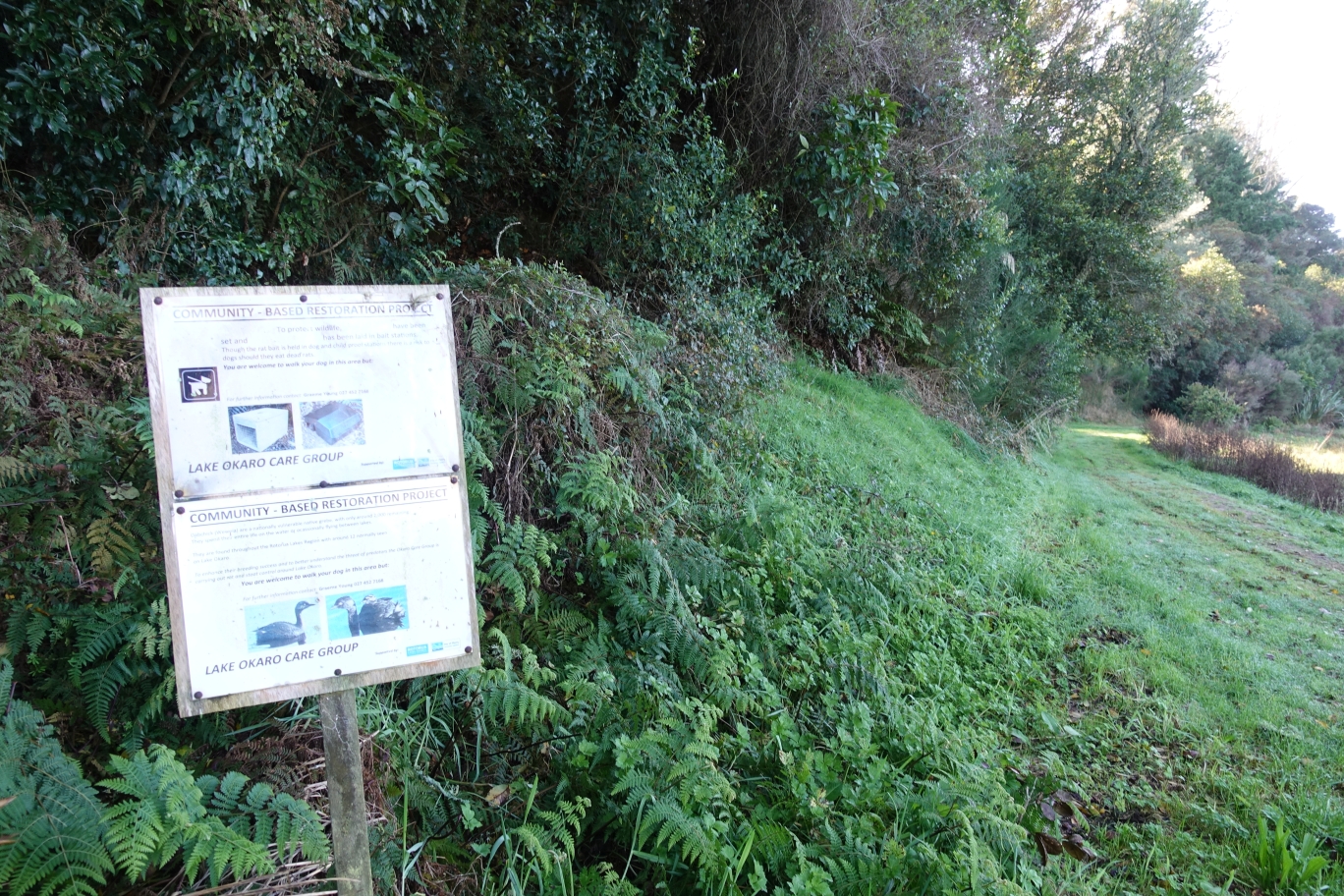 Lake Okaro Walkway | motowalknz