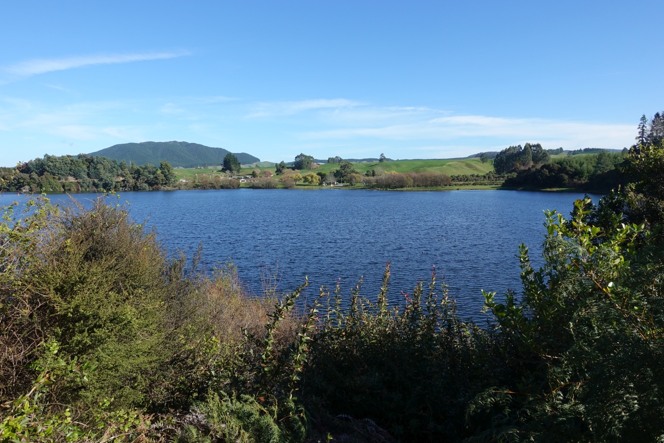 Lake Okaro Walkway | motowalknz