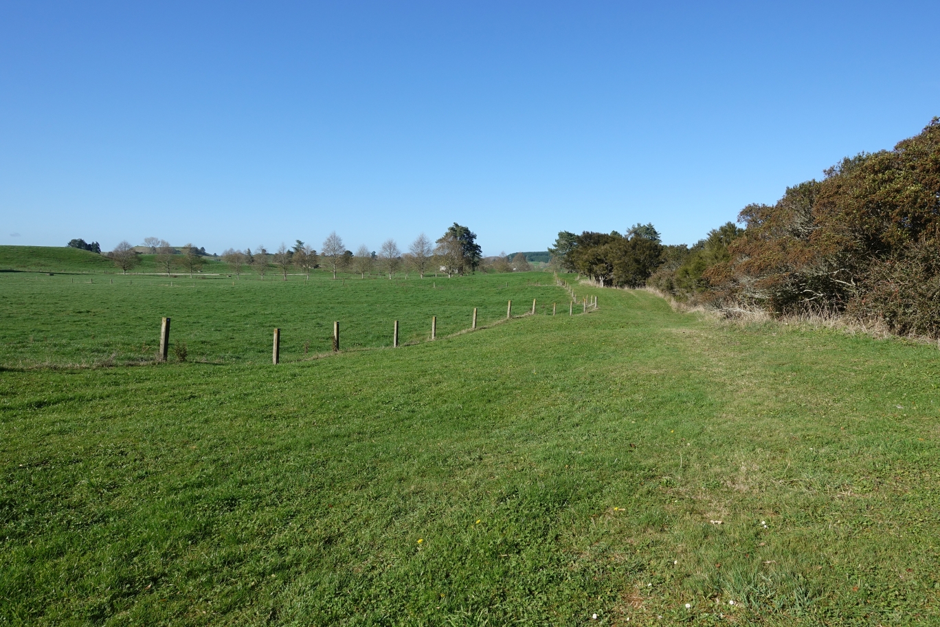 Lake Okaro Walkway | motowalknz