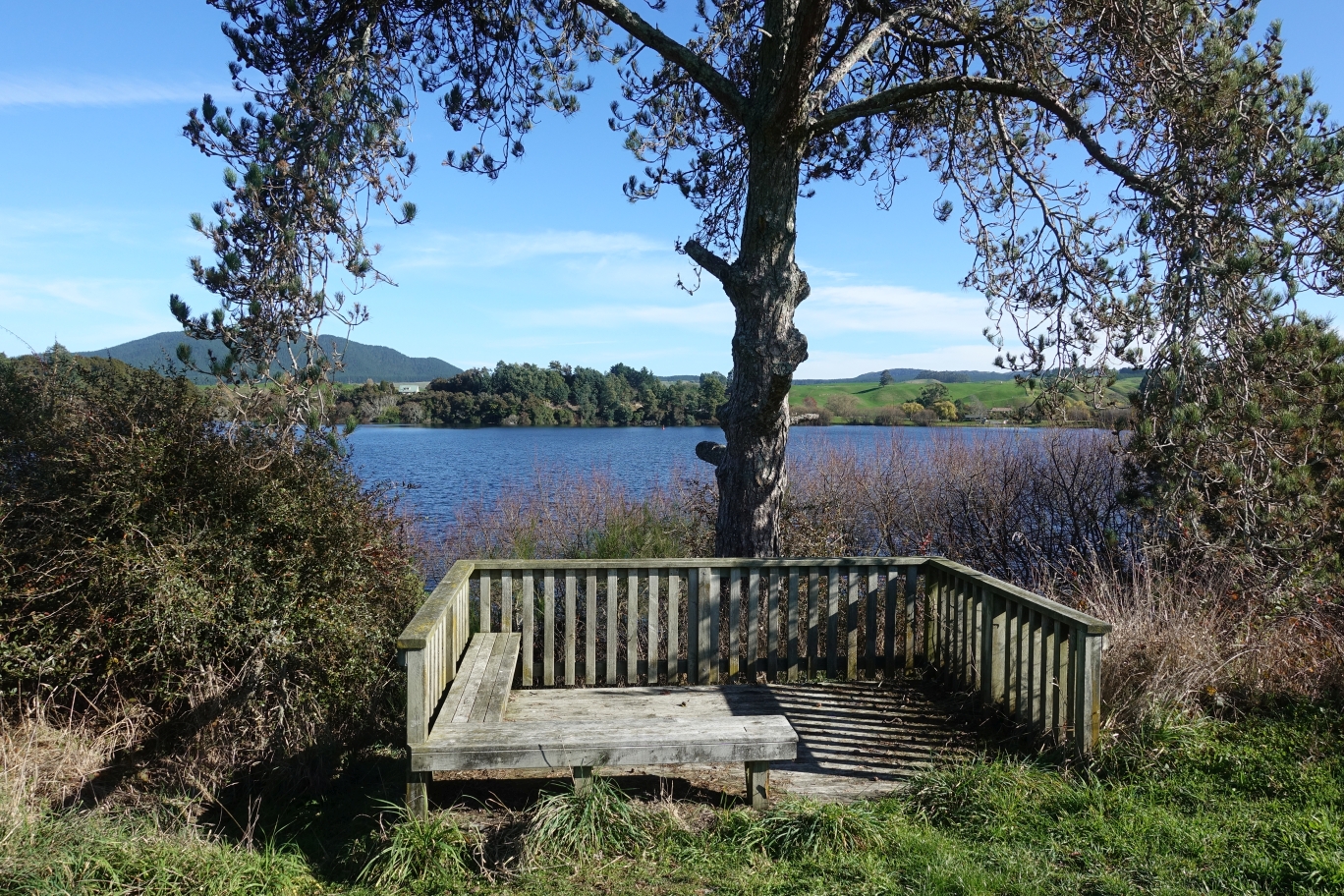 Lake Okaro Walkway | motowalknz