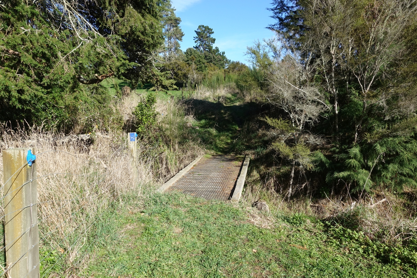 Lake Okaro Walkway | motowalknz