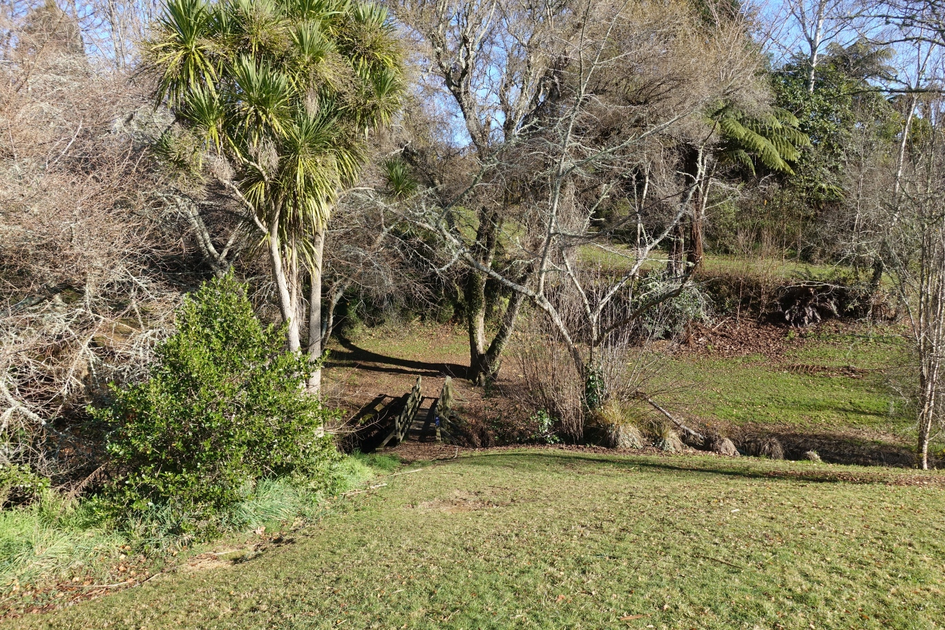 Utuhina Walkway, Rotorua | motowalknz