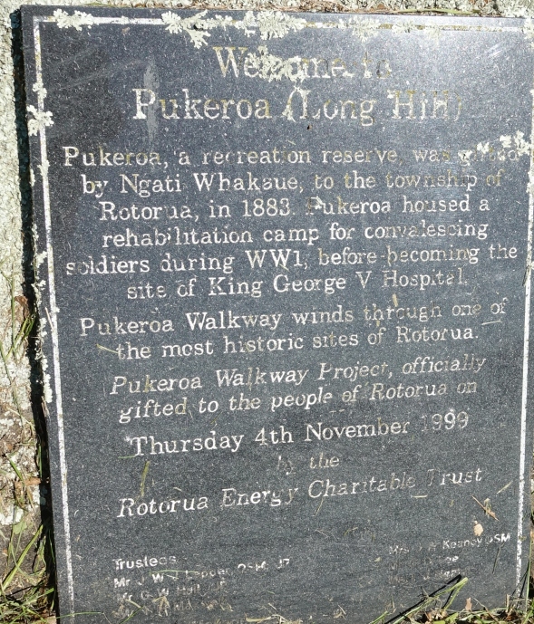 Rotorua Walkway: Pukeroa, Lakefront, Motutara, Te Arikiroa, Puarenga ...