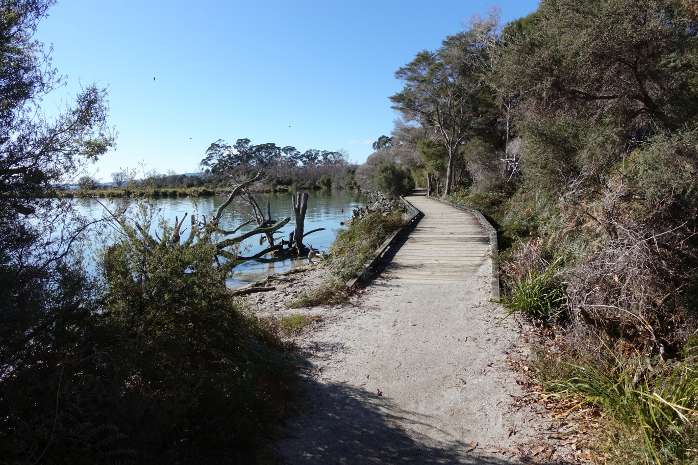 Rotorua Walkway: Pukeroa, Lakefront, Motutara, Te Arikiroa, Puarenga ...