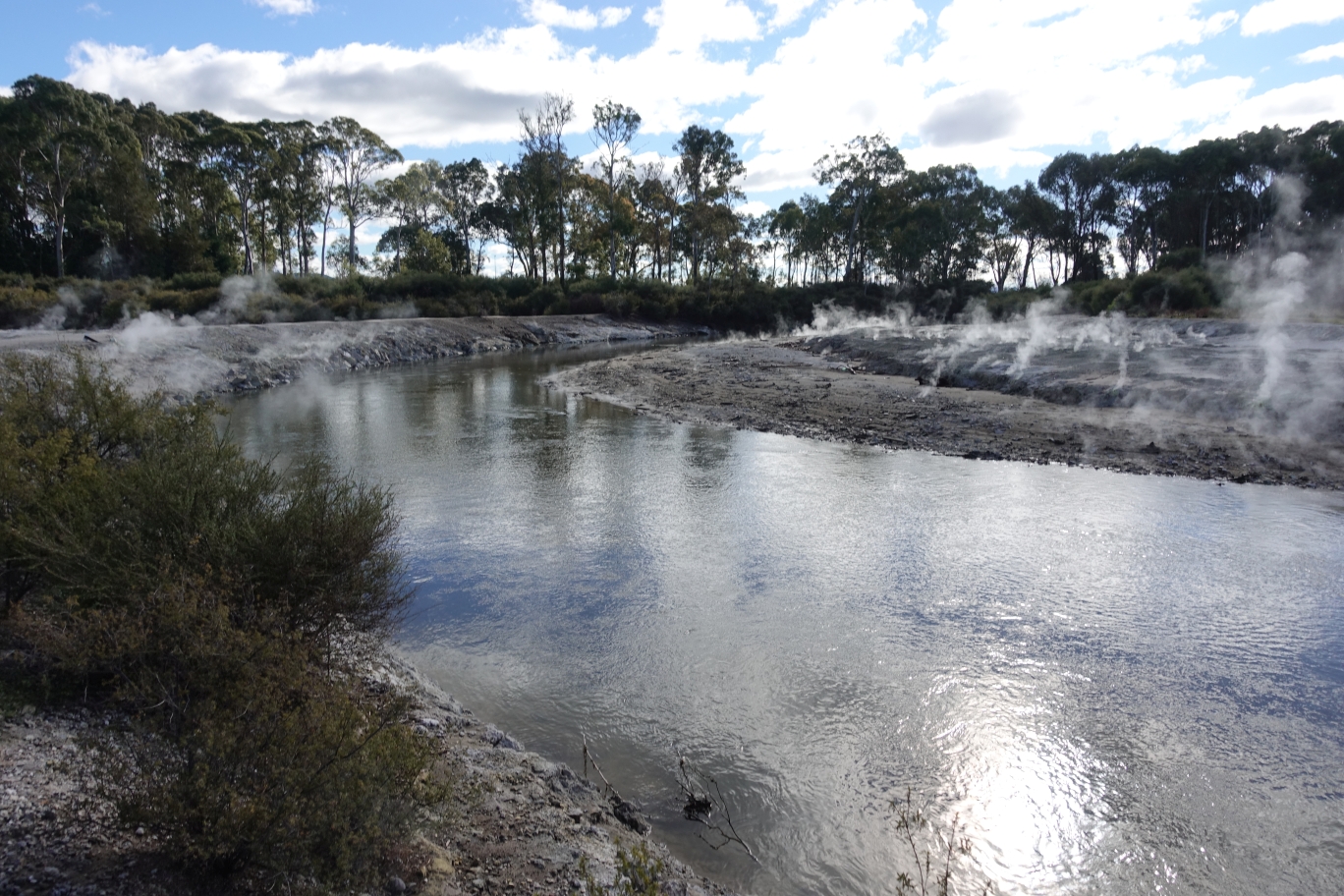 Rotorua Tree Trust | motowalknz
