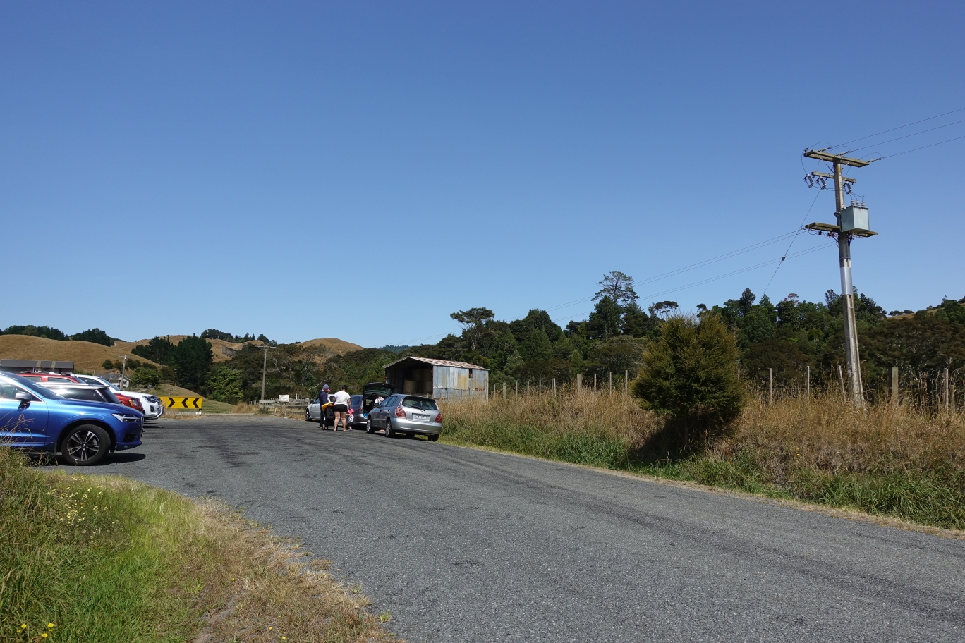 Karakariki Track to Waterfall, Whatawhata | motowalknz