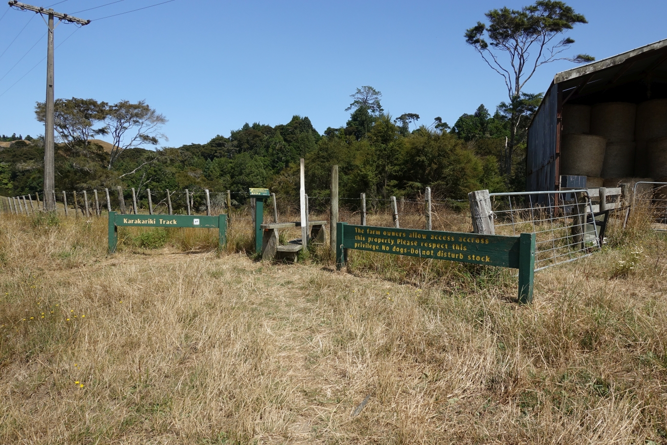 Karakariki Track to Waterfall, Whatawhata | motowalknz