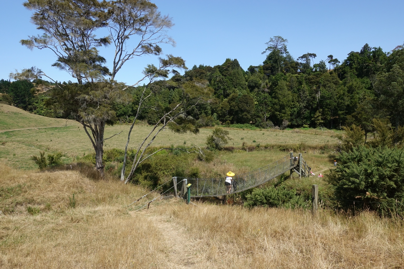 Karakariki Track to Waterfall, Whatawhata | motowalknz