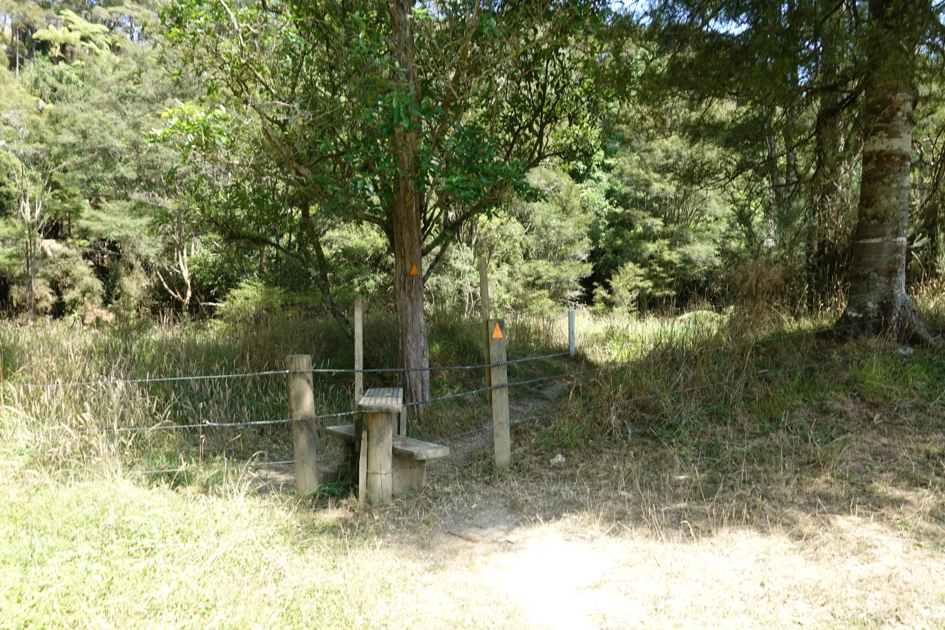 Karakariki Track to Waterfall, Whatawhata | motowalknz