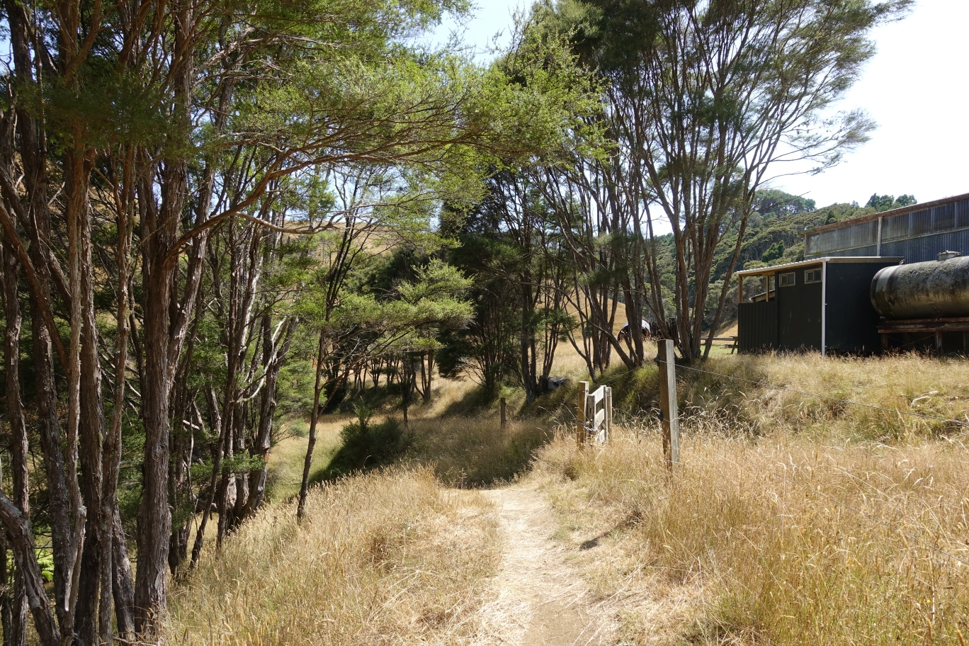 Karakariki Track to Waterfall, Whatawhata | motowalknz