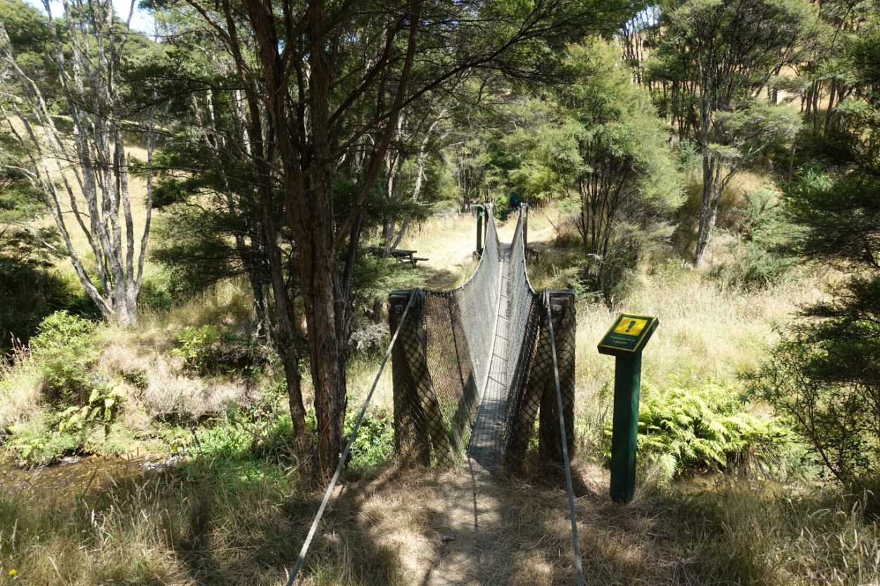 Karakariki Track to Waterfall, Whatawhata | motowalknz