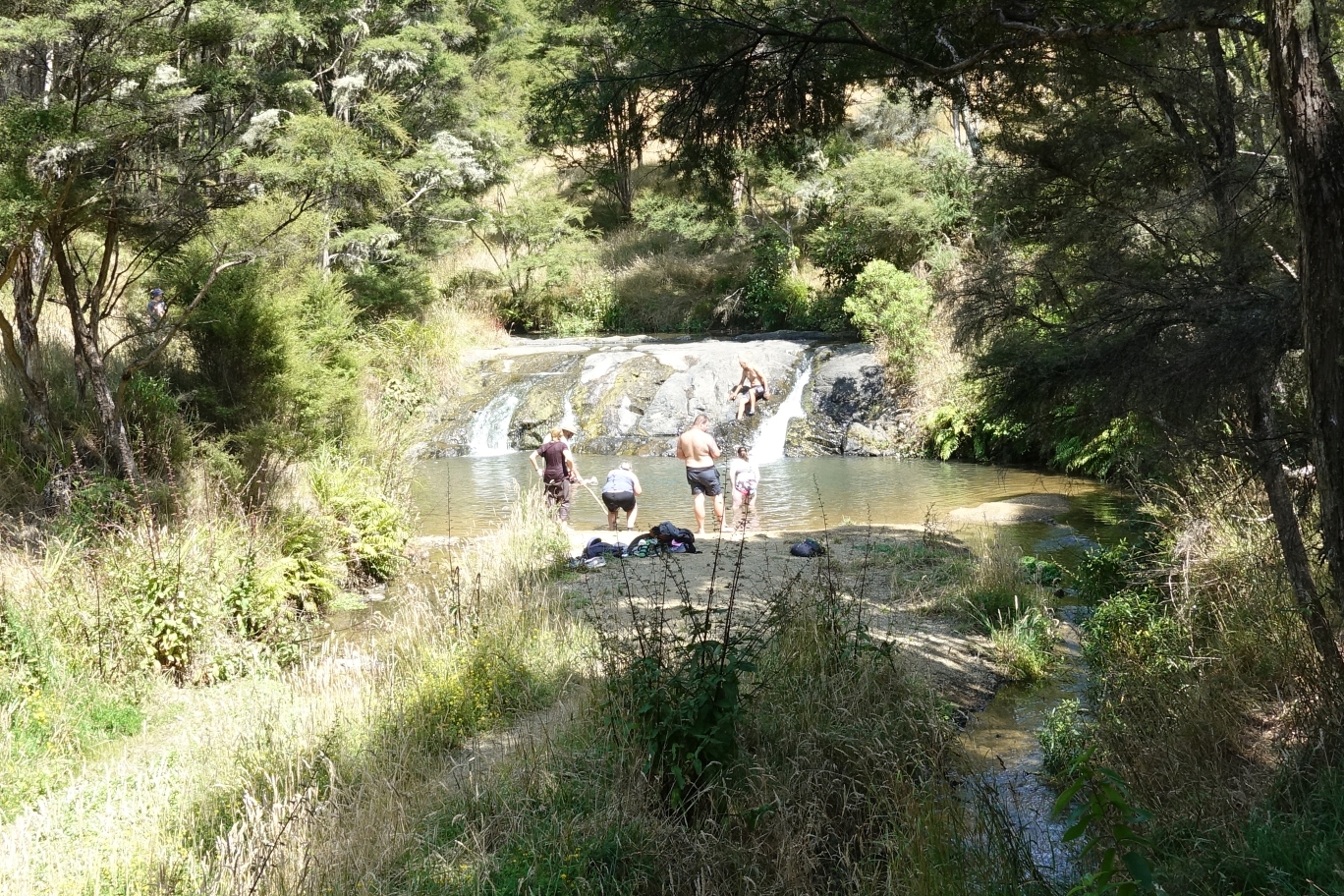Karakariki Track to Waterfall, Whatawhata | motowalknz