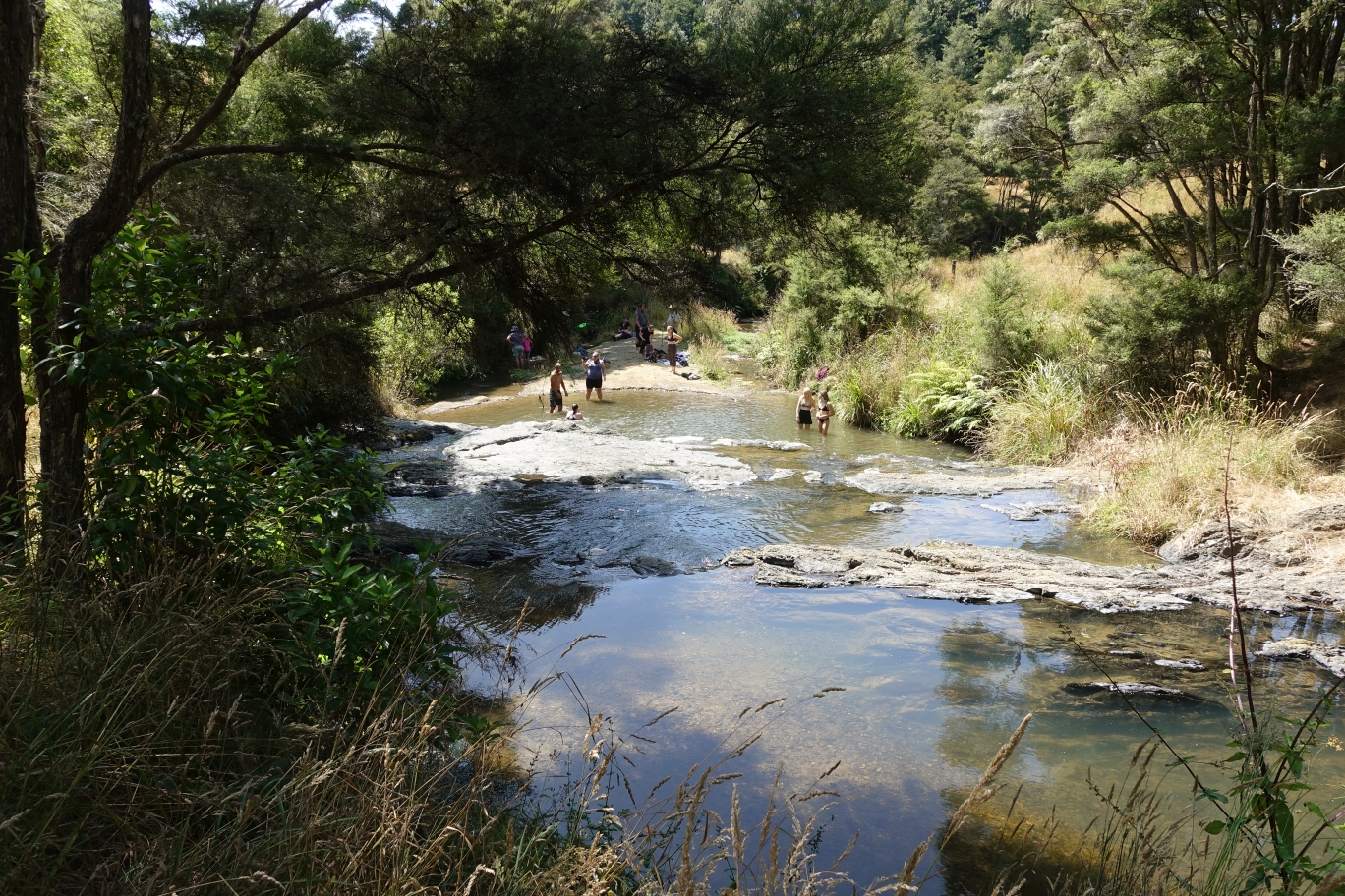 Karakariki Track to Waterfall, Whatawhata | motowalknz